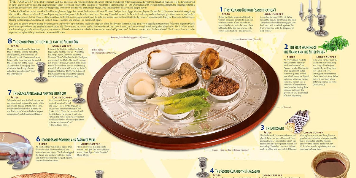 91DHkHddqrL._SL1500_1200x600_crop_center.jpg?v=1769359681